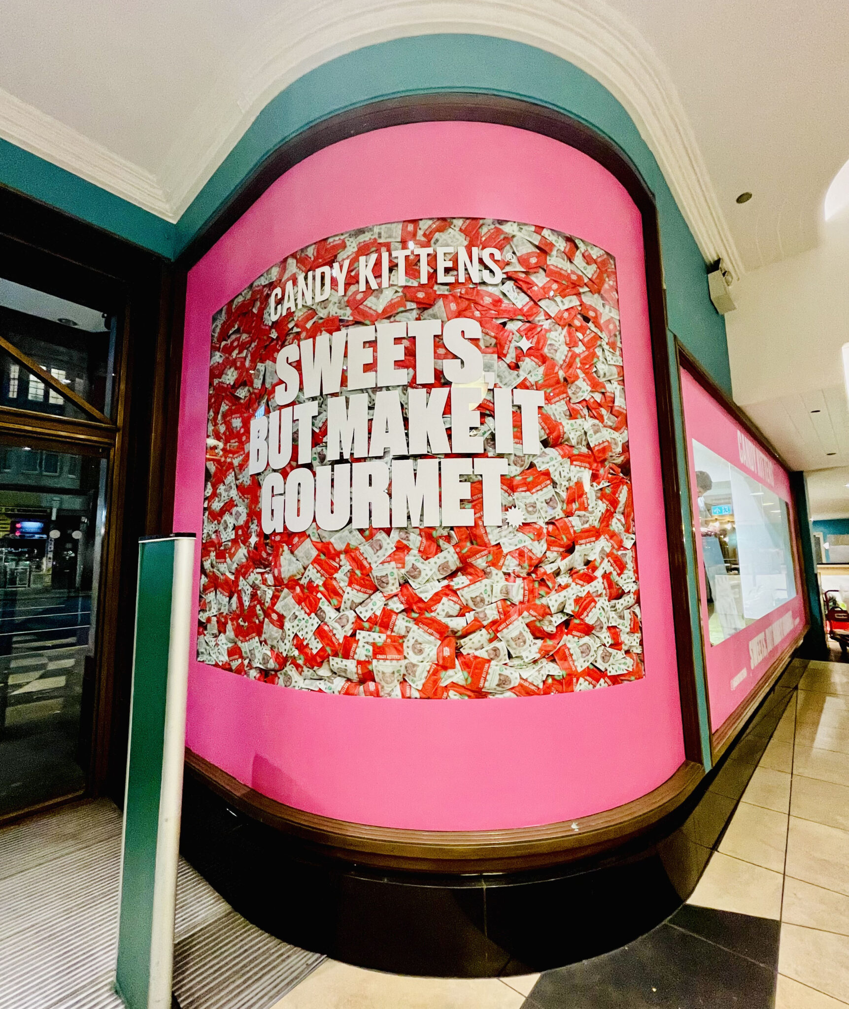 The 4 Day Candy Kitten Challenge | Resource